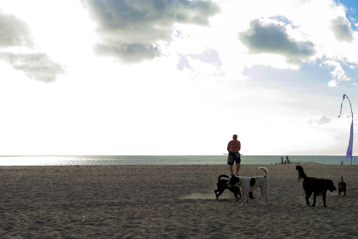 The Old Man and the Sea | GANREF