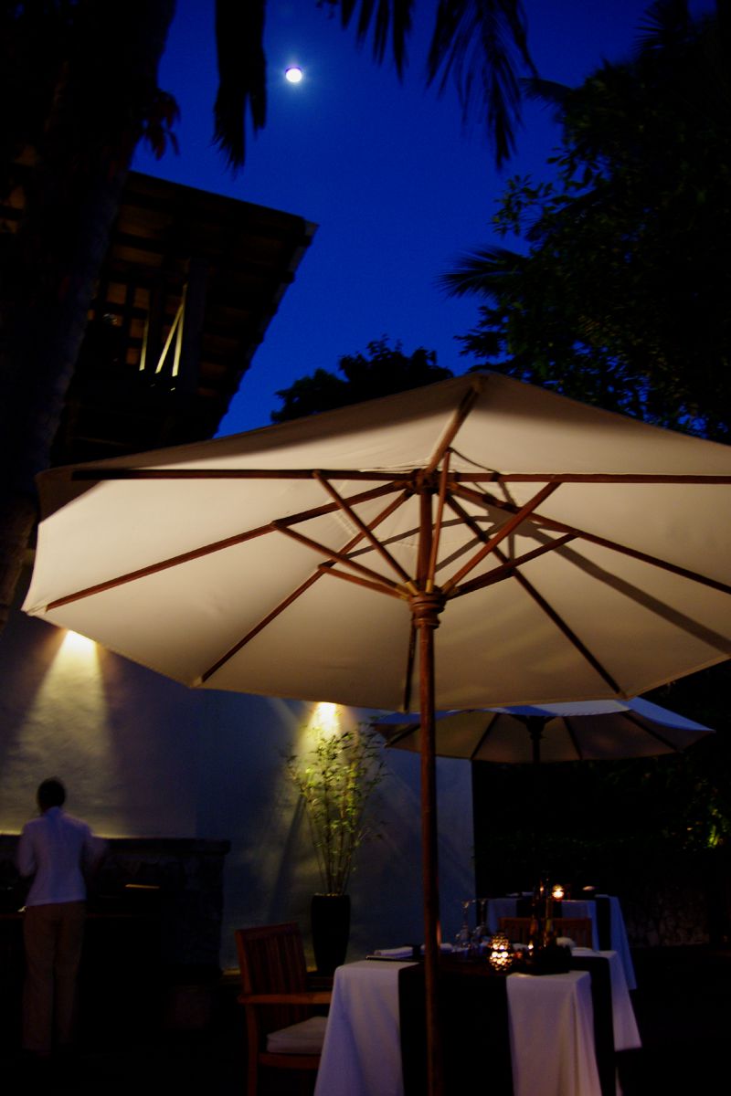 moon parasol | GANREF