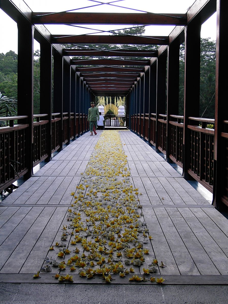 virgin road | GANREF