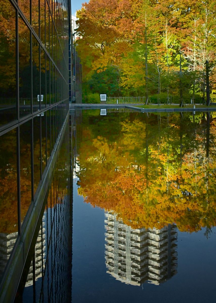 Copy and Symmetrical | GANREF