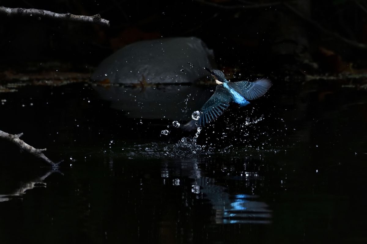 Crystal Splash Dive | GANREF