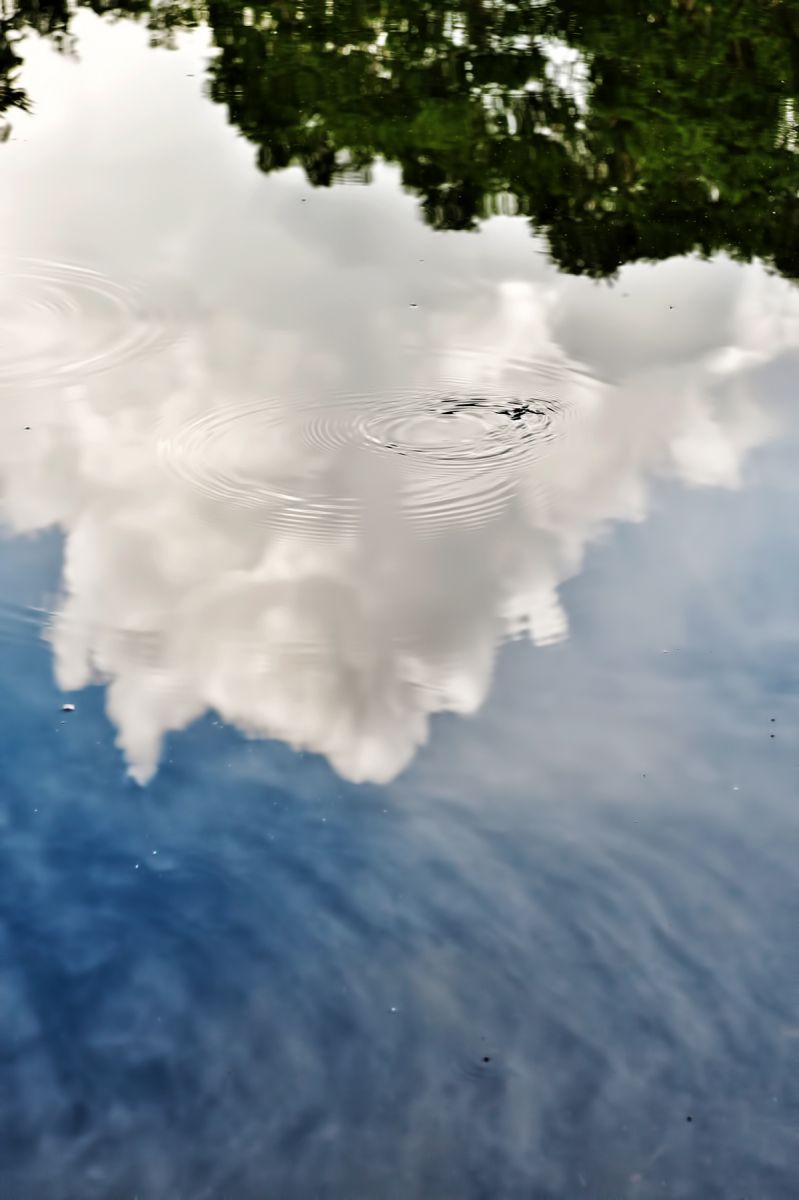 空中水泳 | GANREF