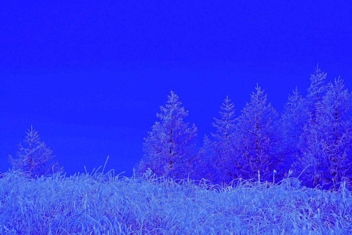 Freezing Blue. | GANREF