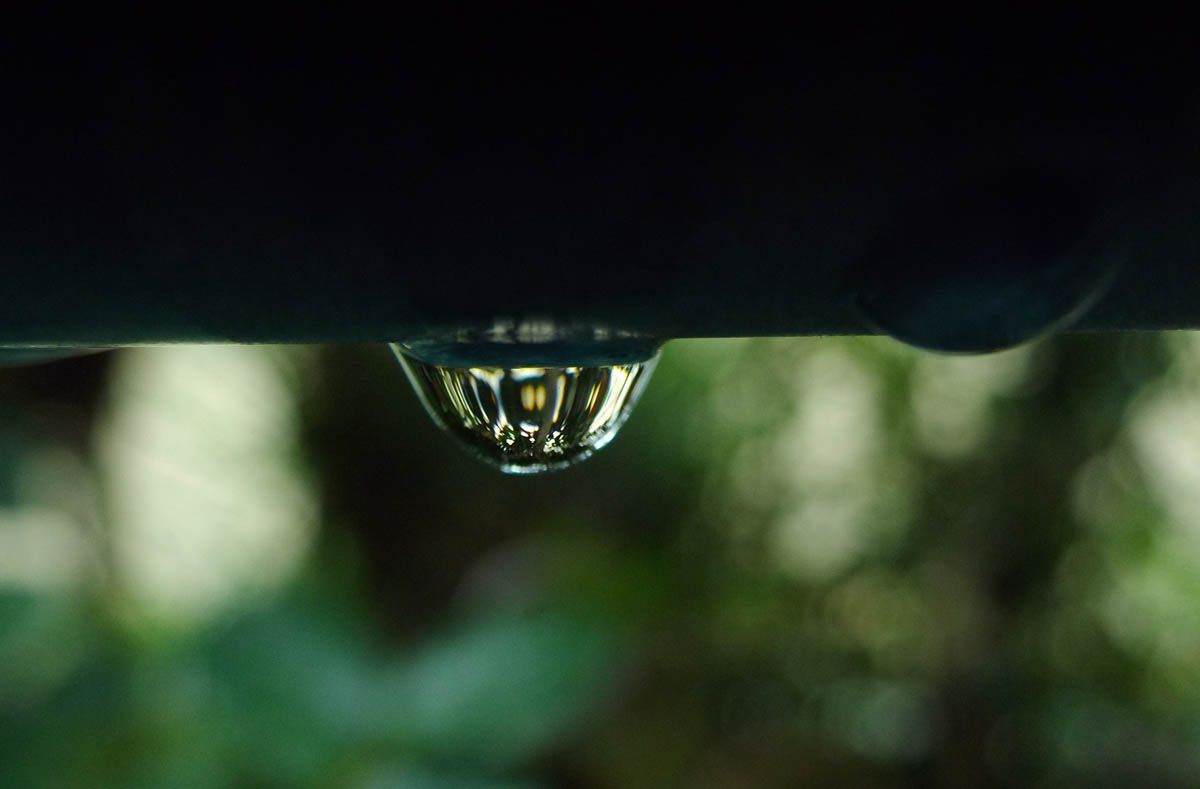 raindrop | GANREF