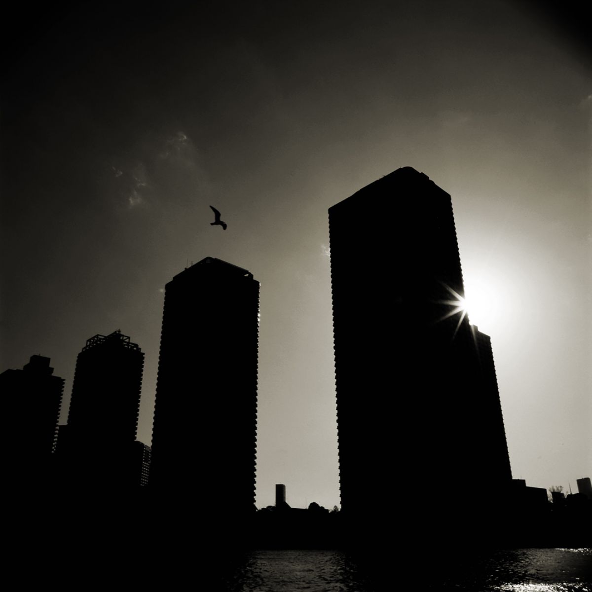 you are not alone | GANREF