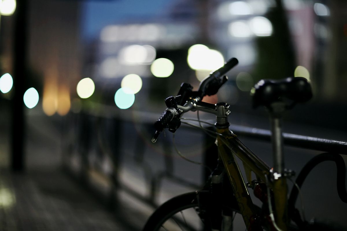 midnight wandering_1 | GANREF