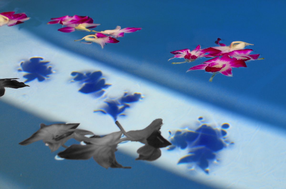 Floating flower | GANREF