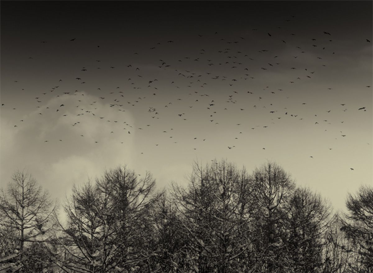 So long and goodnight | GANREF