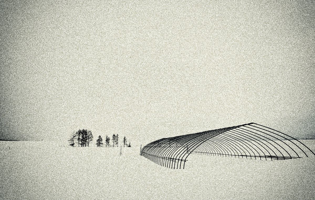 Improvisation ＃1967 | GANREF