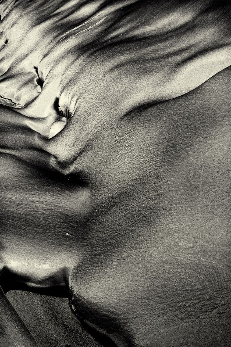 S・collection ＃019 | GANREF