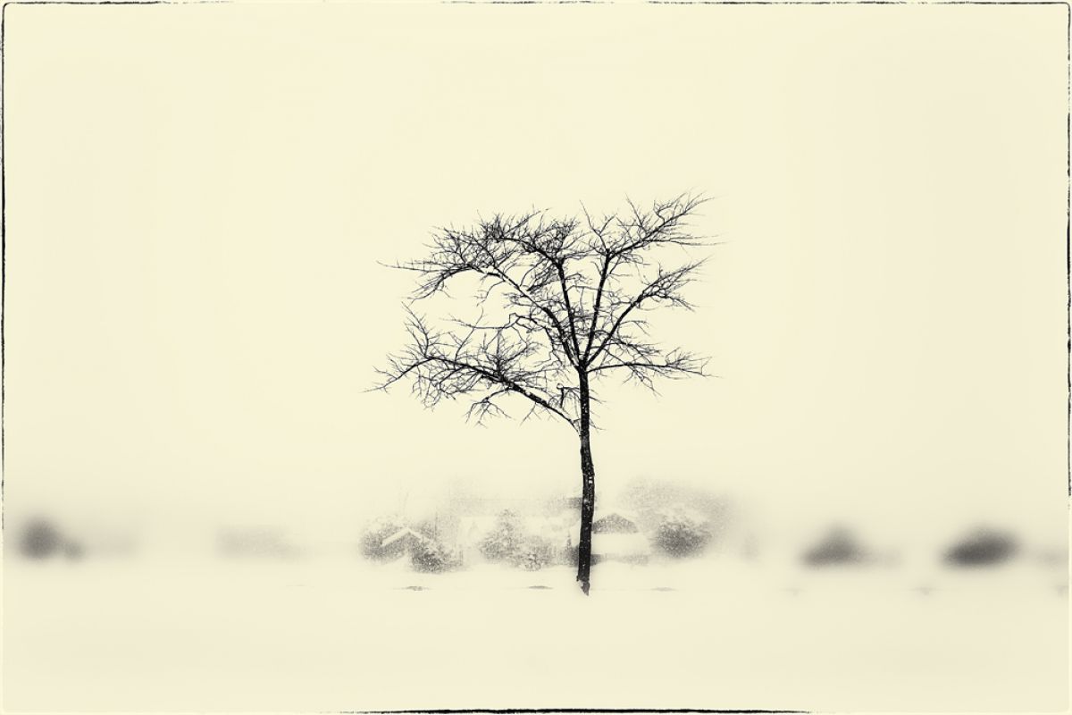 Improvisation ＃0439 | GANREF