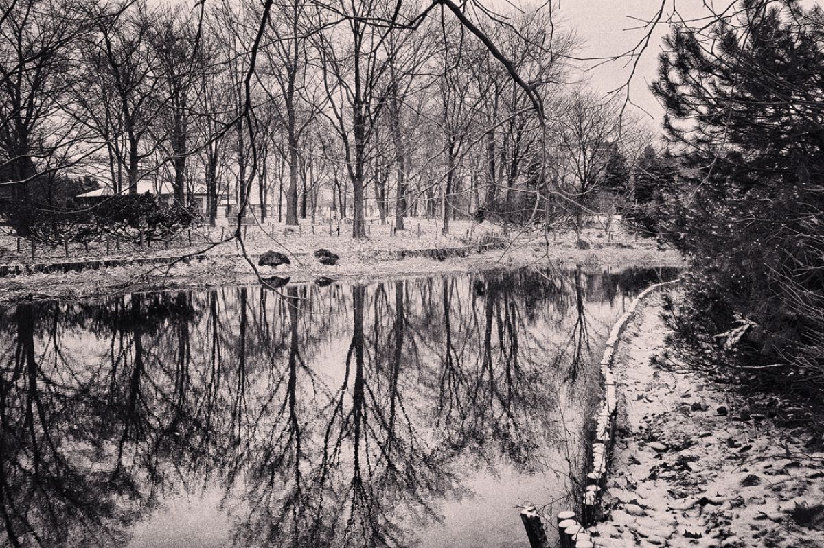 Improvisation ＃2013 | GANREF