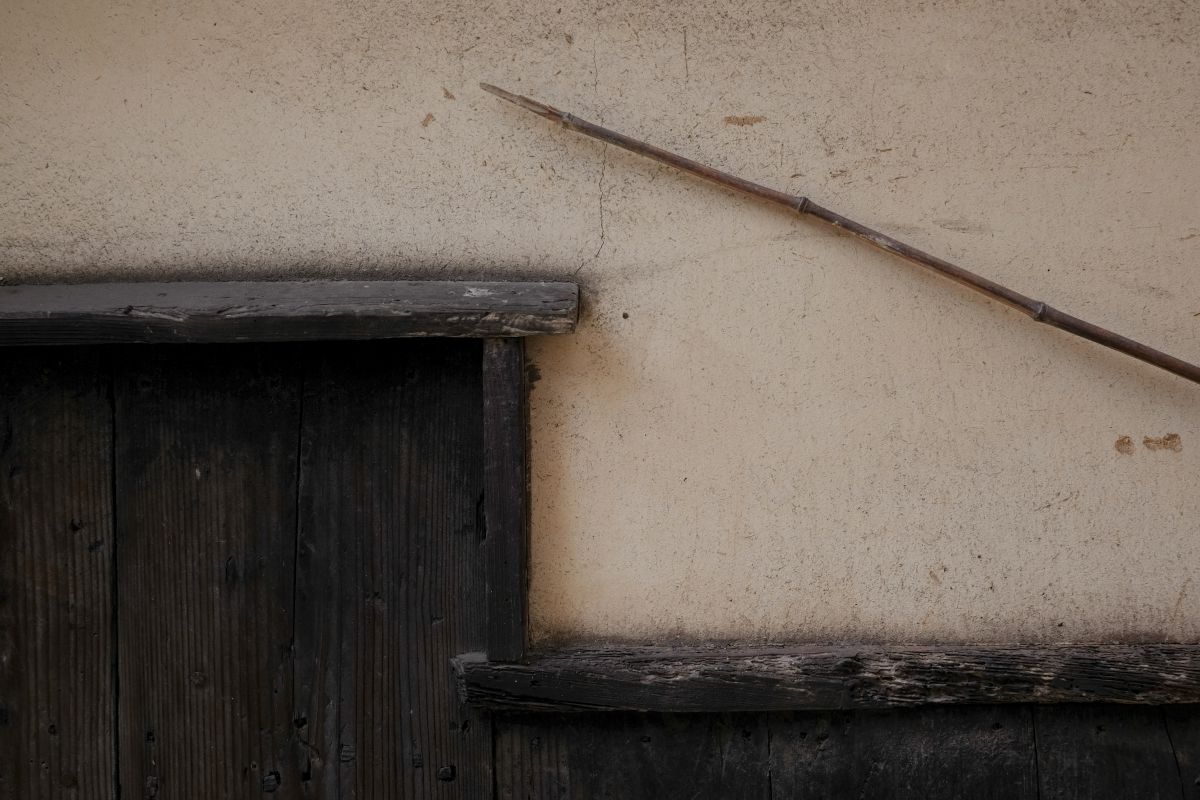 tomo's wall | GANREF