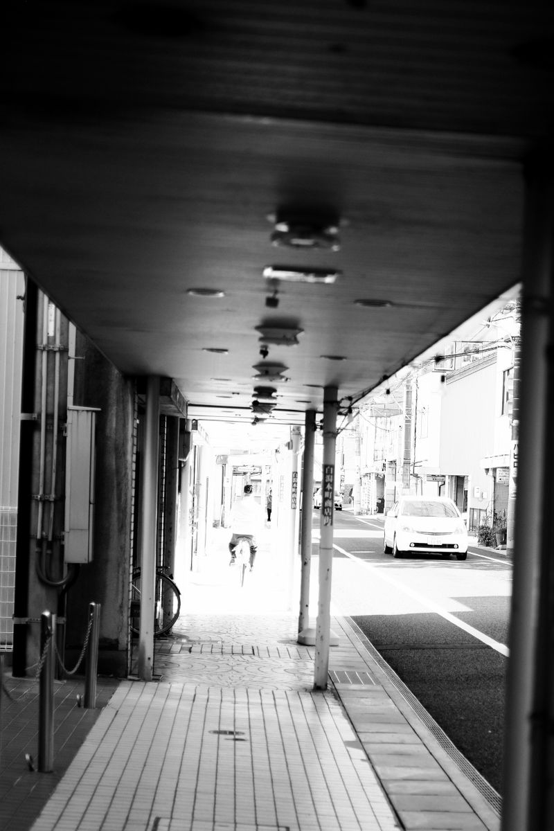 parallel world | GANREF