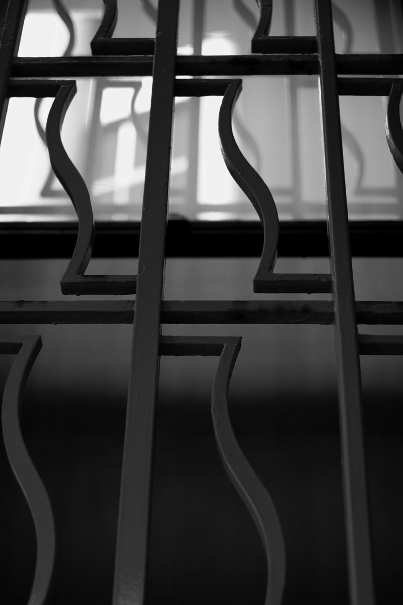 shadow（Z） | GANREF