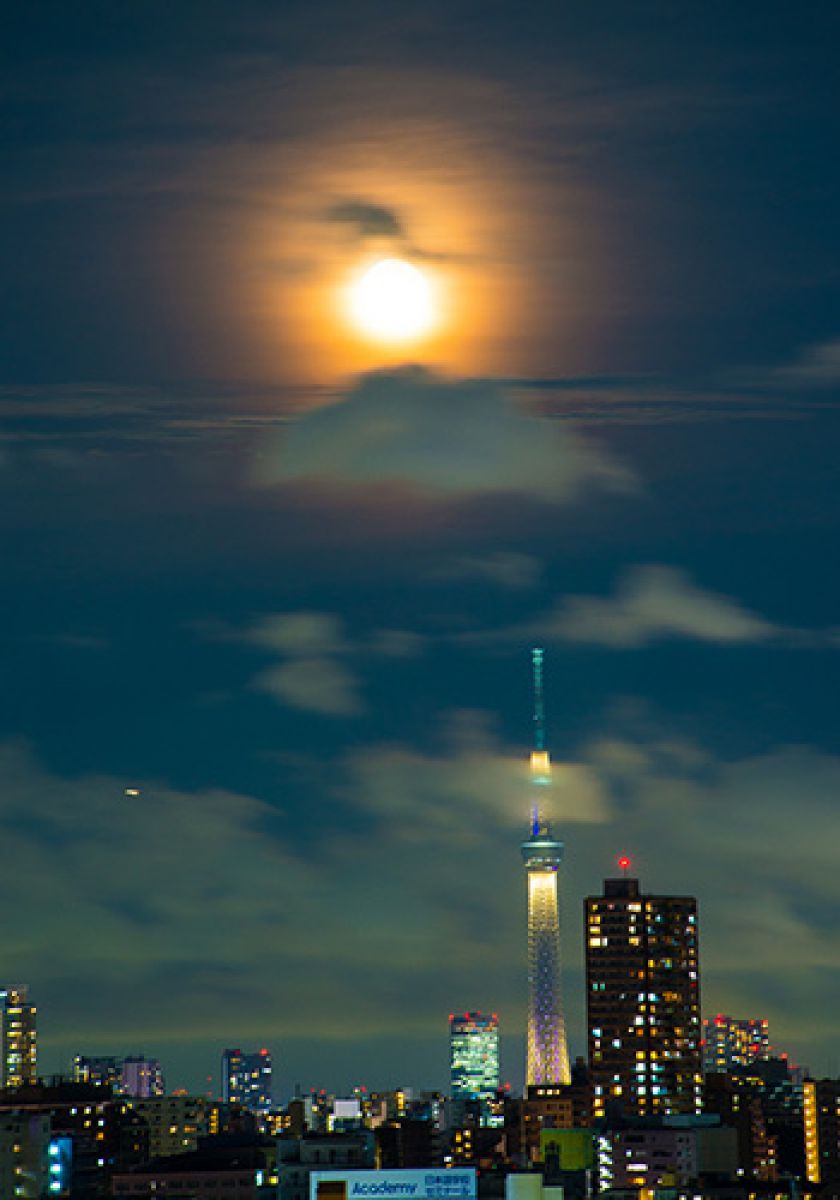 _1715922.jpg | GANREF