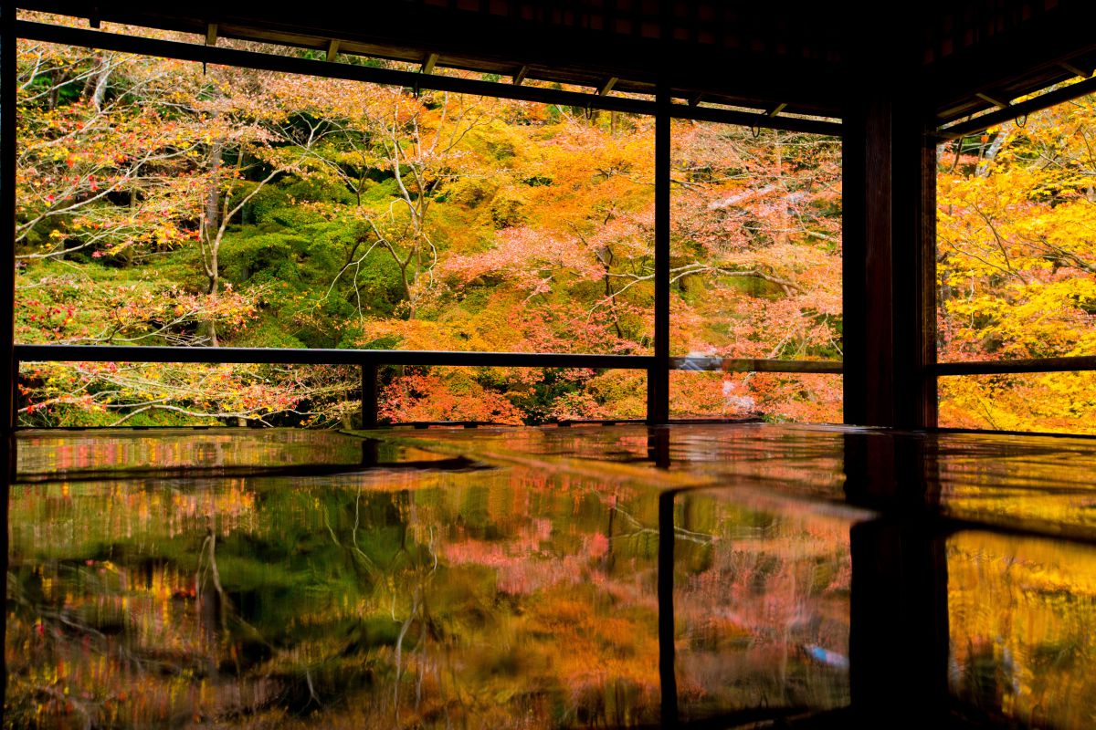 the reflection | GANREF