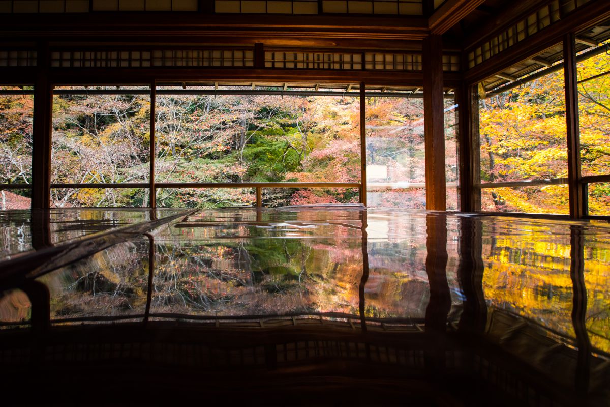 the reflection of autumn | GANREF