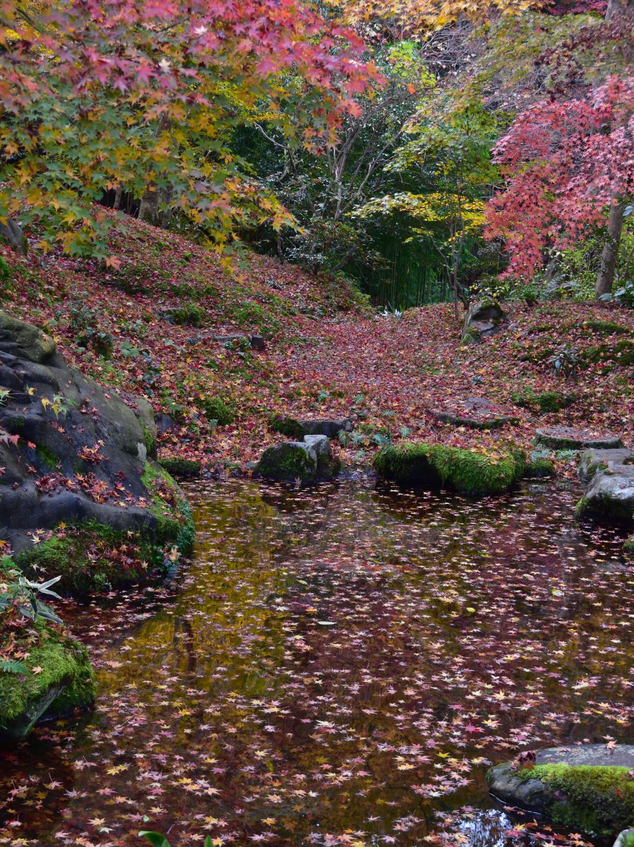 autumn colors | GANREF