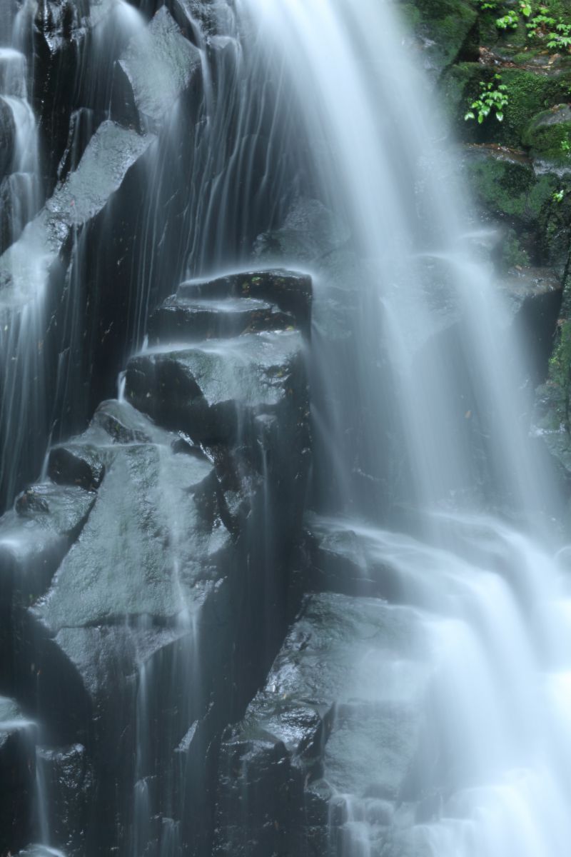 698A3934.JPG | GANREF