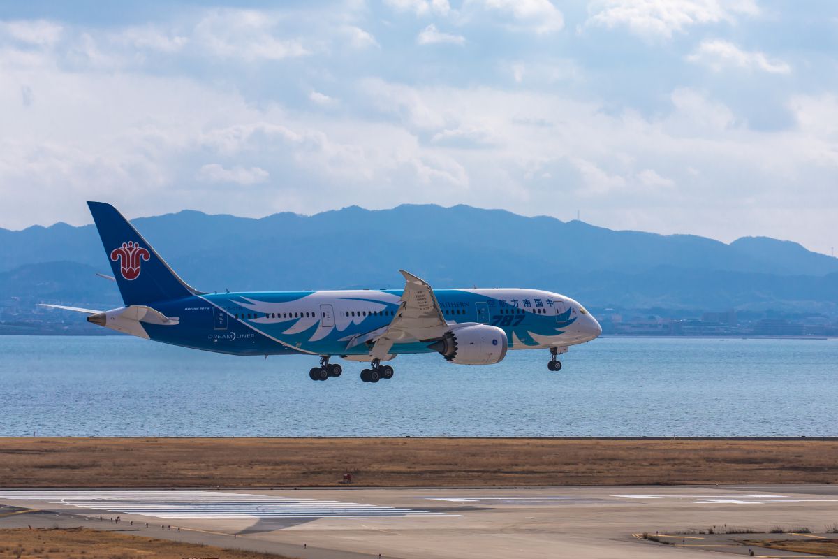 中華系青色B8 | GANREF