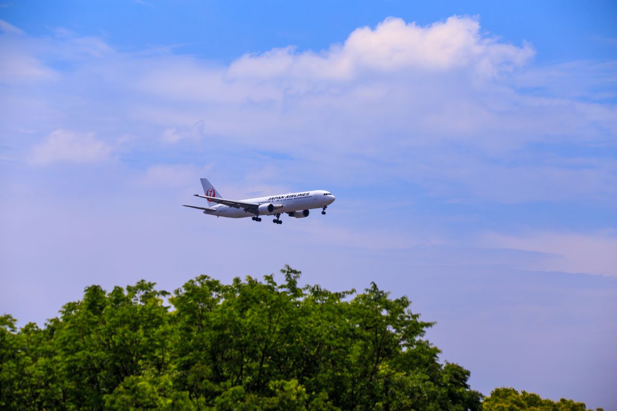 青空、新緑、767！！ | GANREF