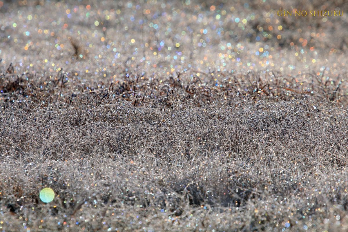 Gin no shizuku | GANREF