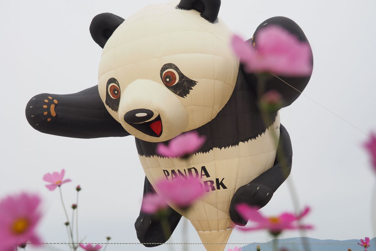 pandaです。 | GANREF