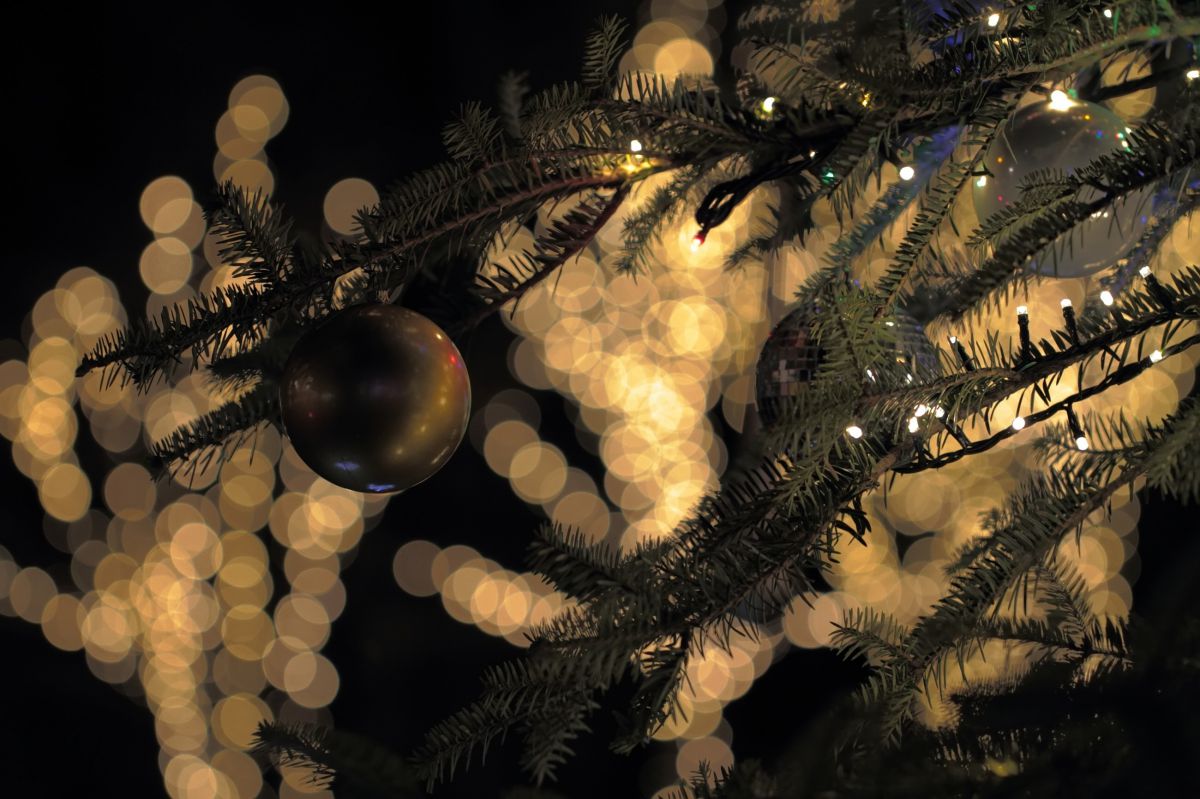 silver night | GANREF