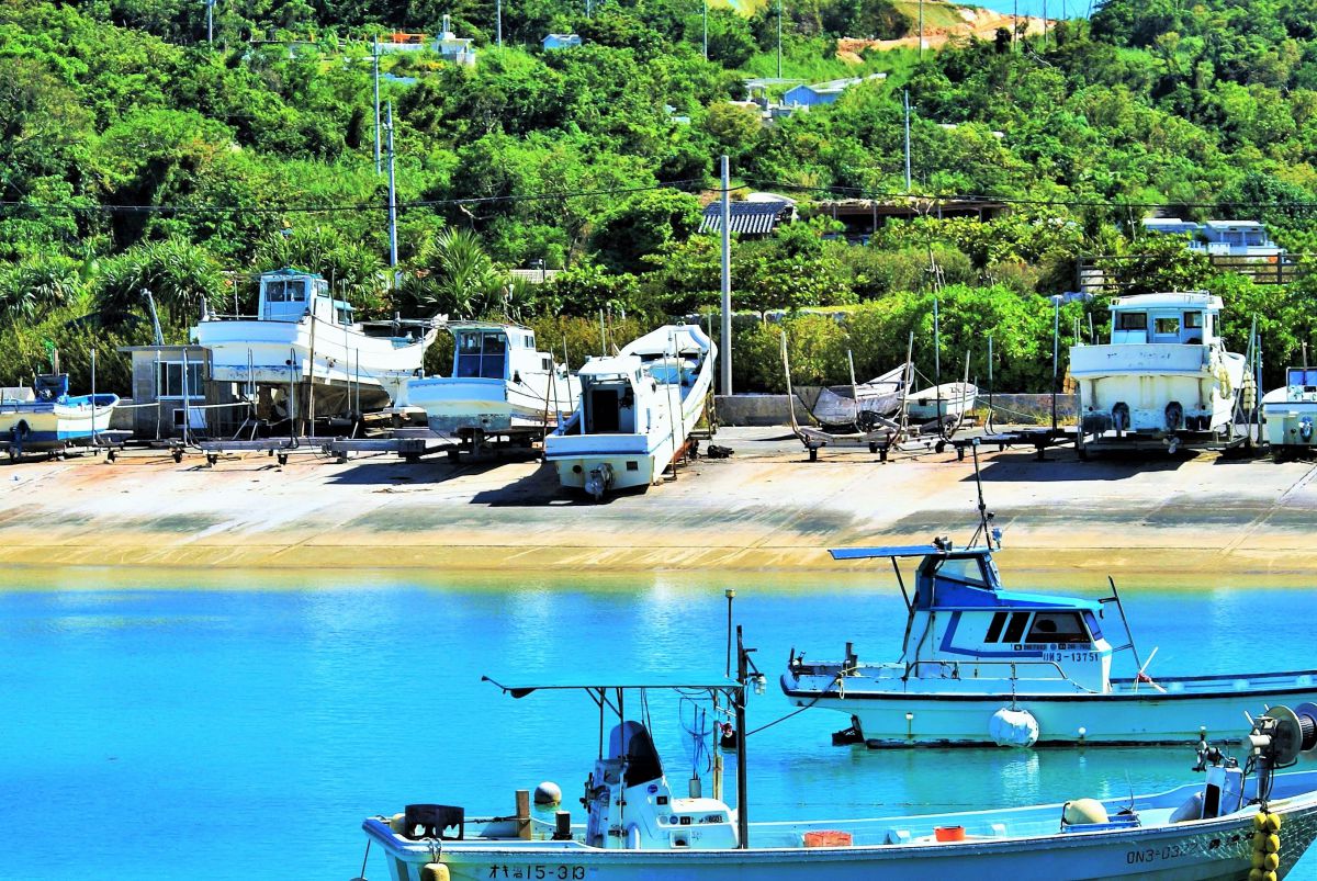 Blue Harbor | GANREF