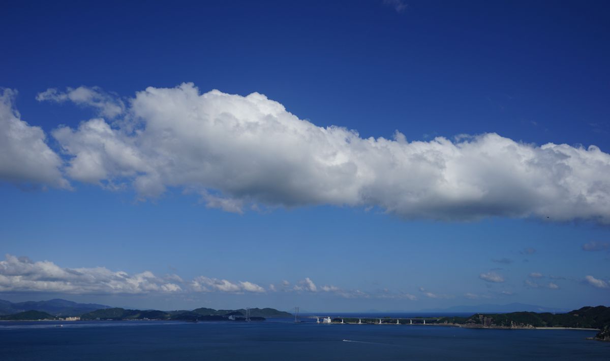 Blue & White | GANREF