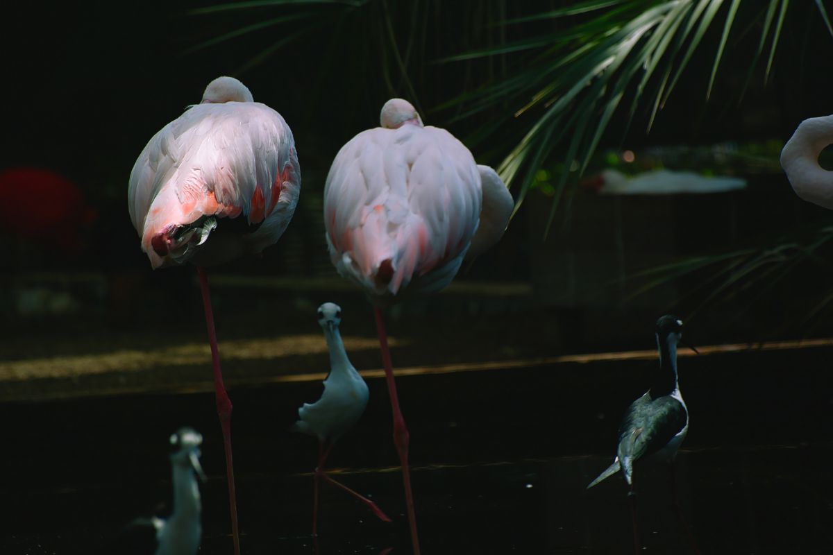 side by side | GANREF