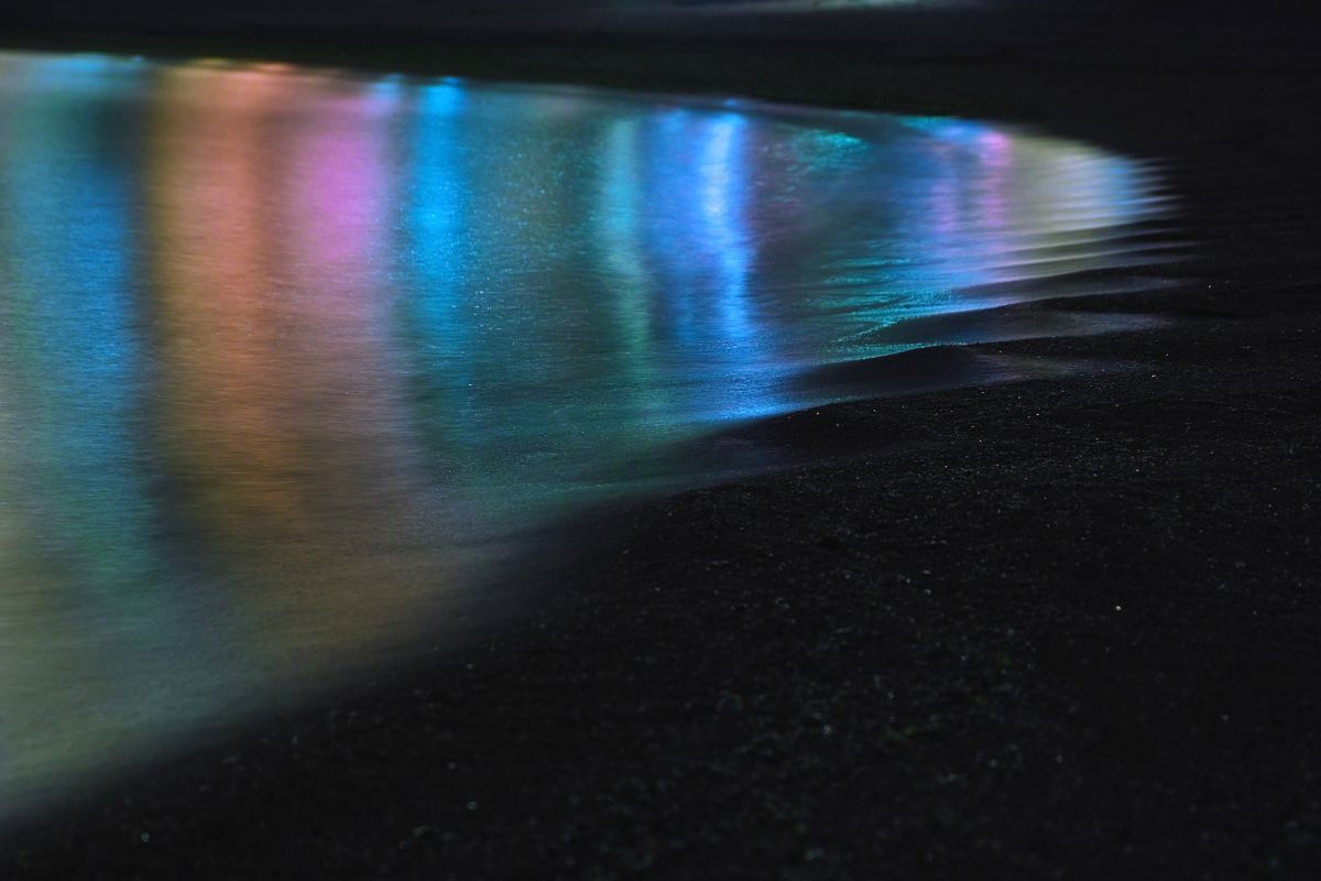 spectrum（スペクトル） | GANREF