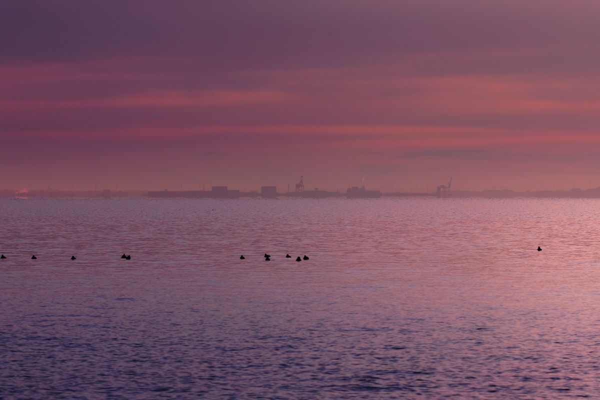 The morning of the mirage | GANREF