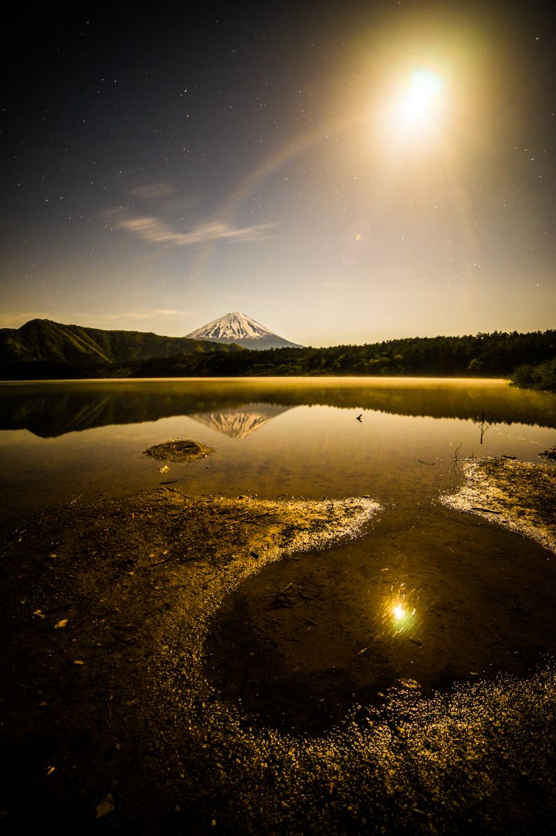 月夜のRing | GANREF