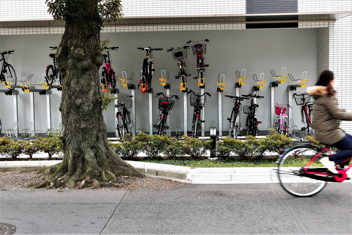 short break | GANREF