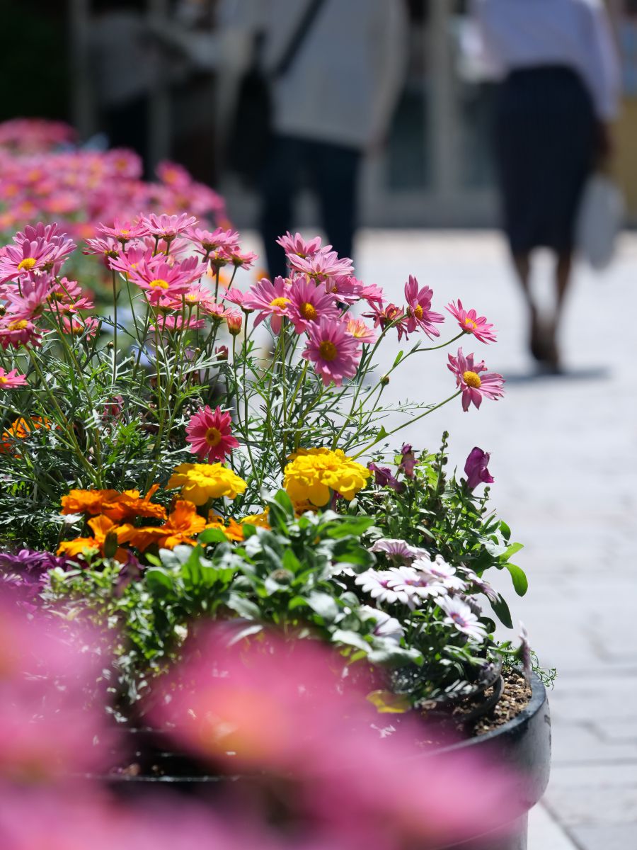 long time later | GANREF