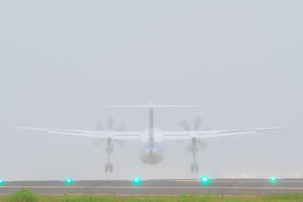 fairy flight | GANREF