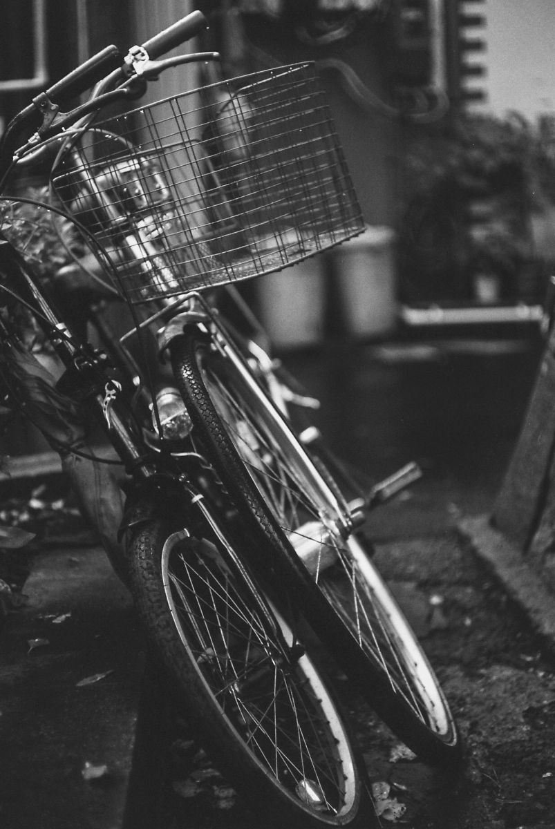 Side By Side | GANREF