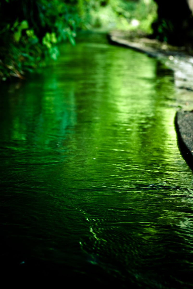 Canal Verde | GANREF