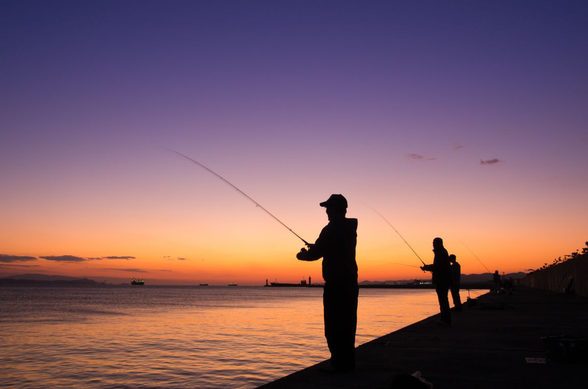 sunset anglers | GANREF