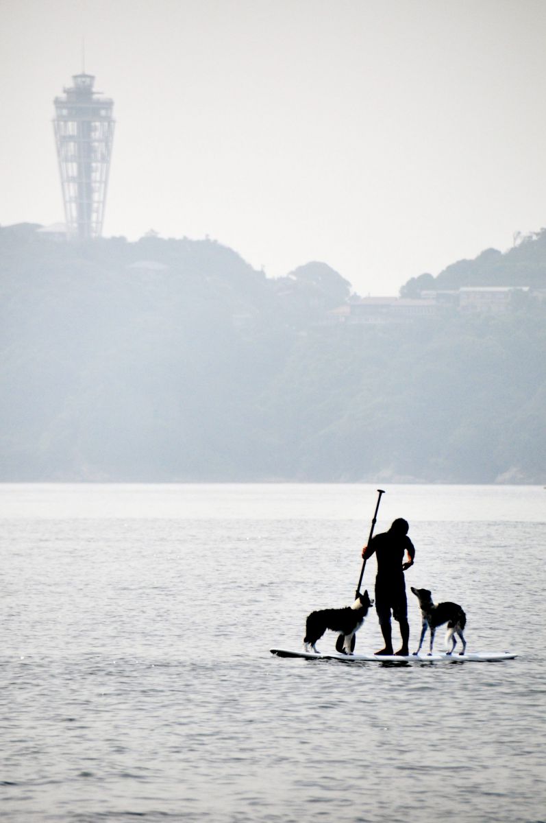 A dog and human being | GANREF