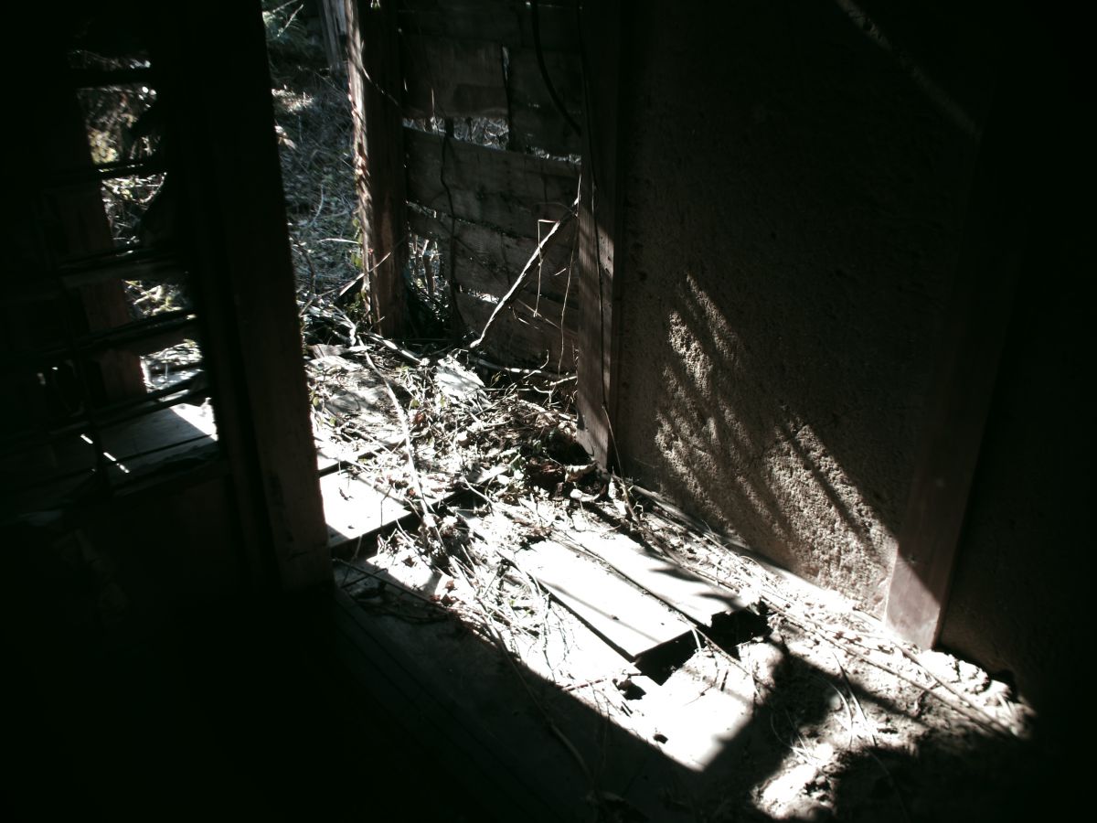 光という名の暴力 | GANREF