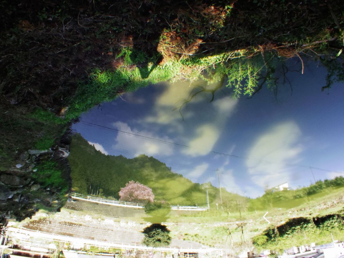 小宇宙 コブシの咲く風景 | GANREF