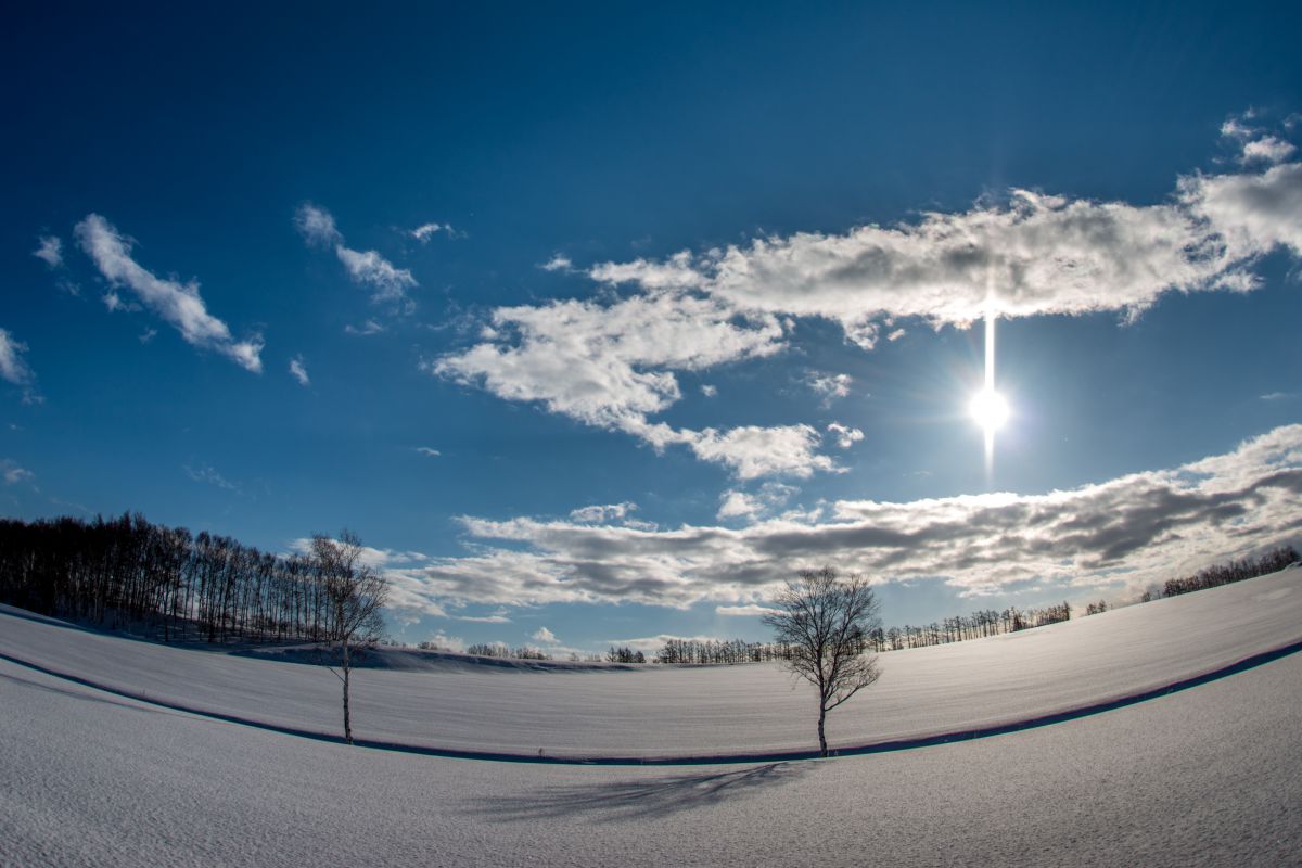 オホーツクの大地にて！ 2017/2/26 | GANREF