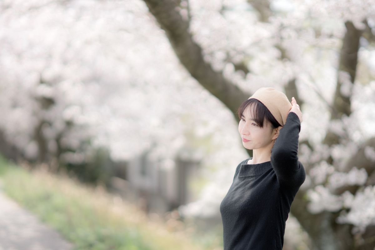 光に誘われて | GANREF