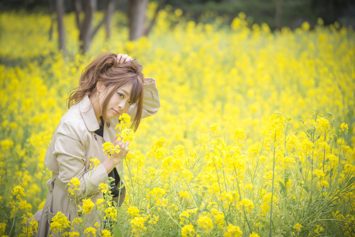 魅せられて | GANREF