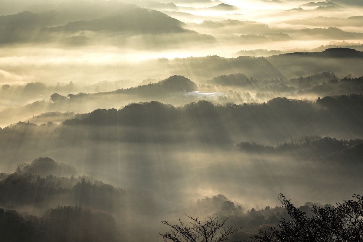 Radial rays | GANREF