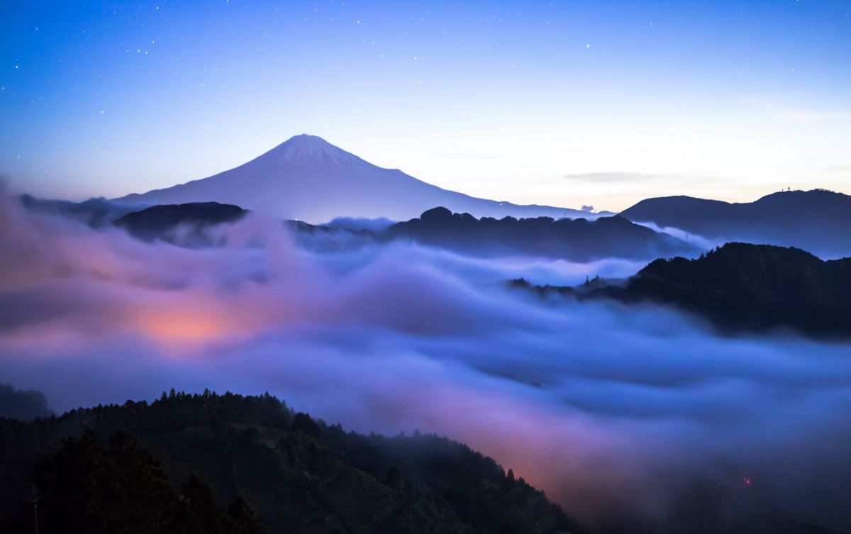 Fantastic sight | GANREF