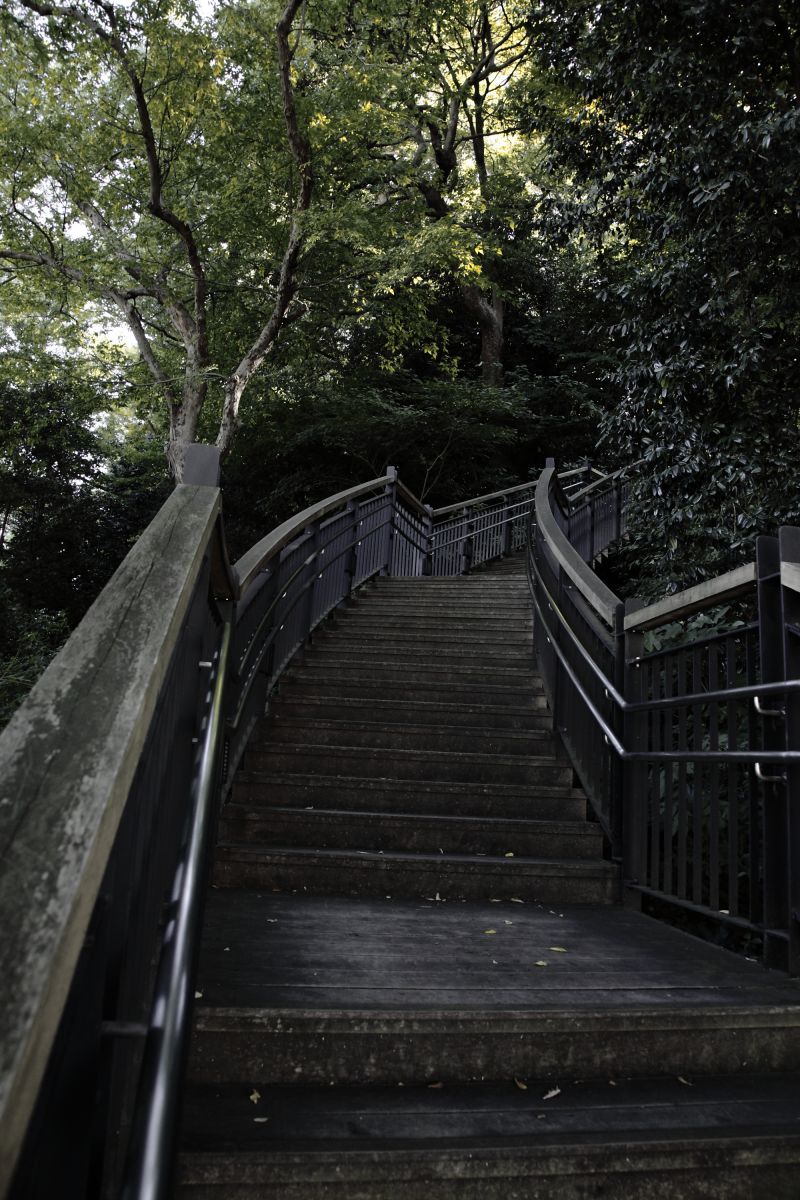 その先にあるもの | GANREF